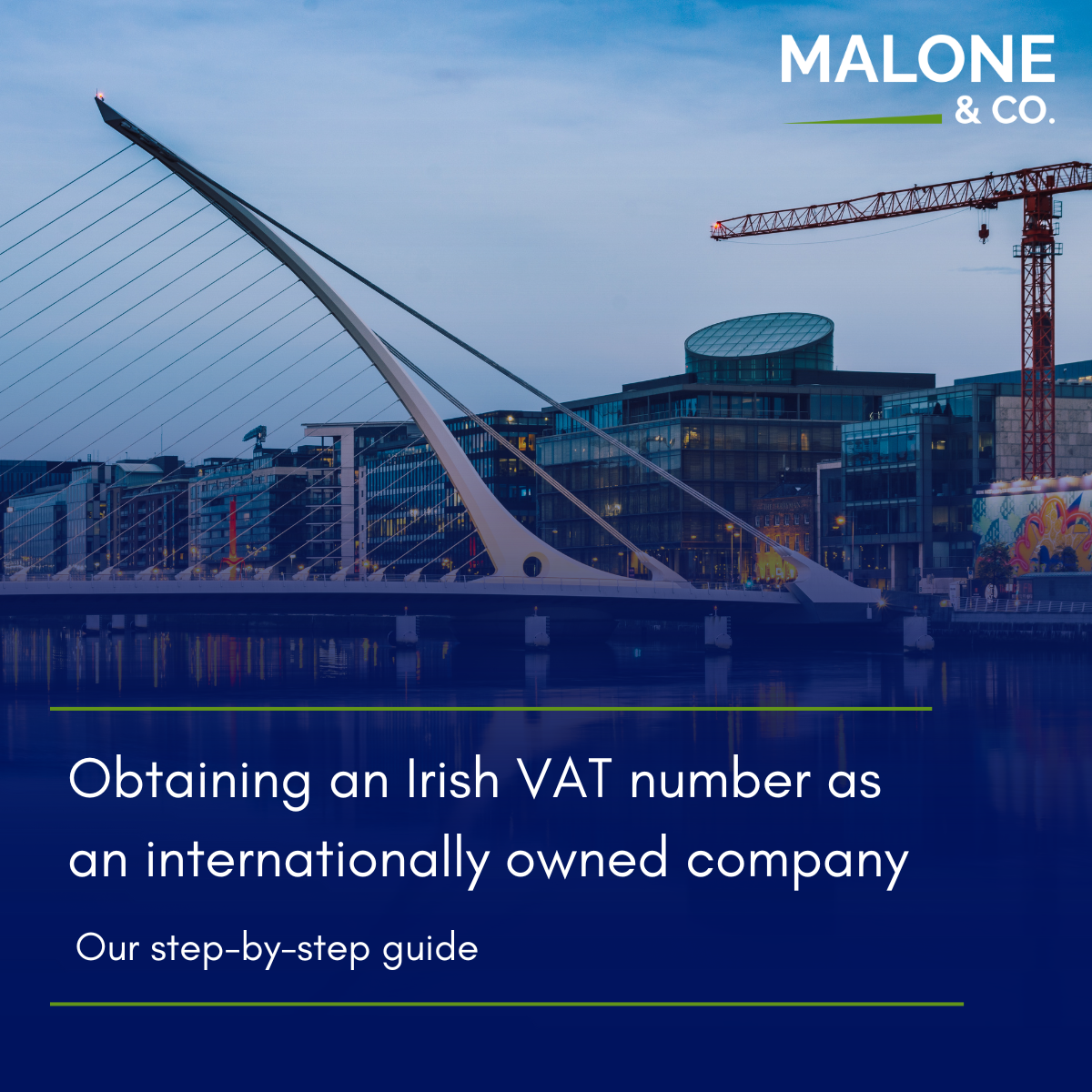 Malone & Co. guide to obtaining an Irish VAT number